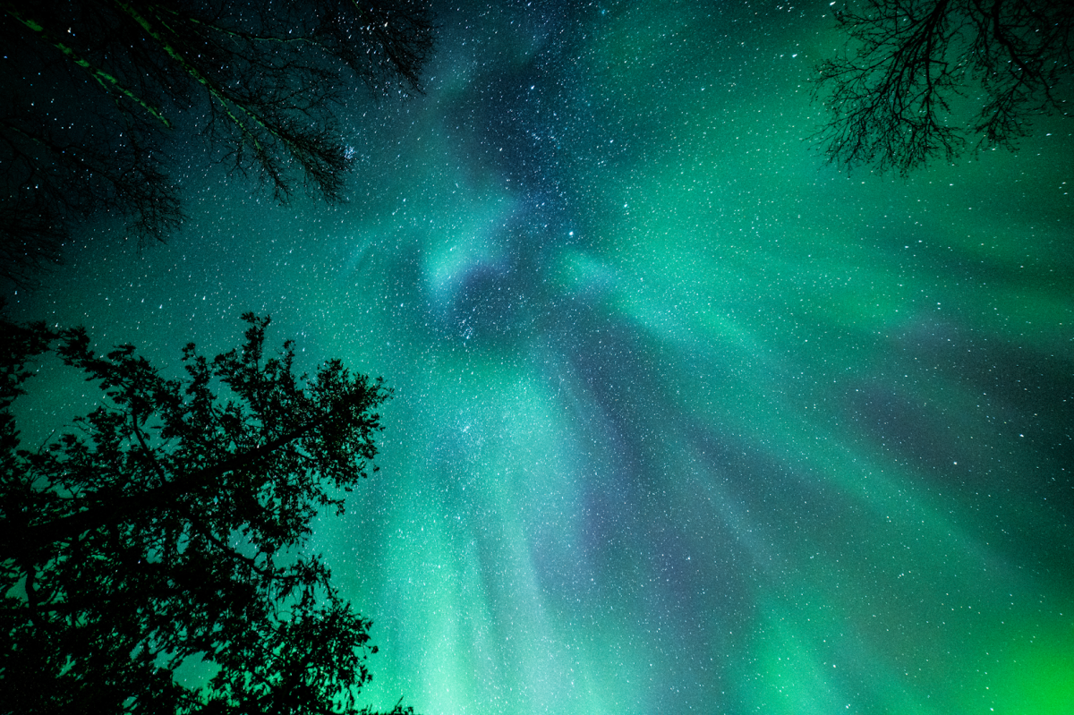 How to Chase the Aurora: A Beginner’s Guide | Save the Boundary Waters