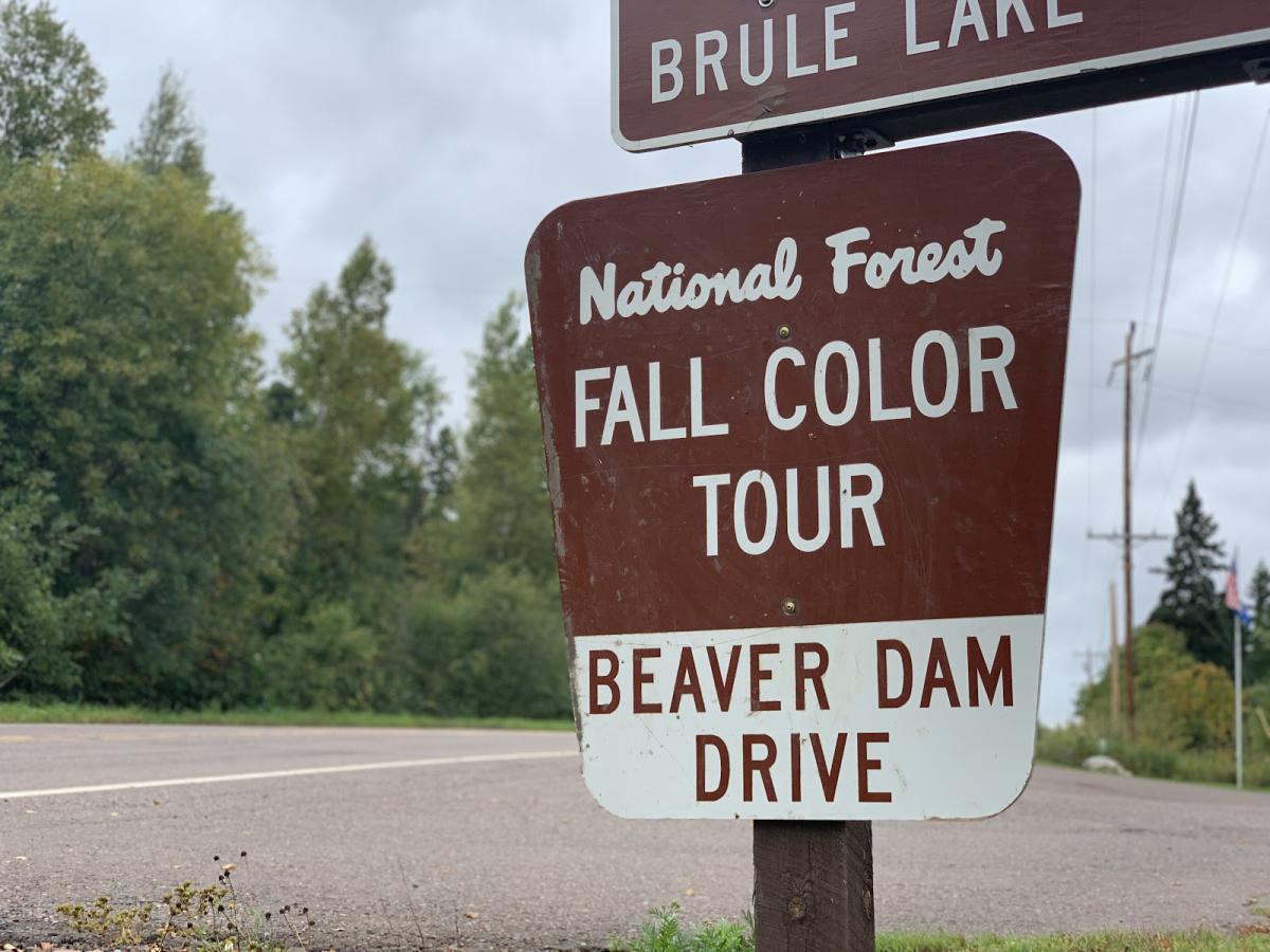 7 Reasons to Fall for the Boundary Waters | Save the Boundary Waters