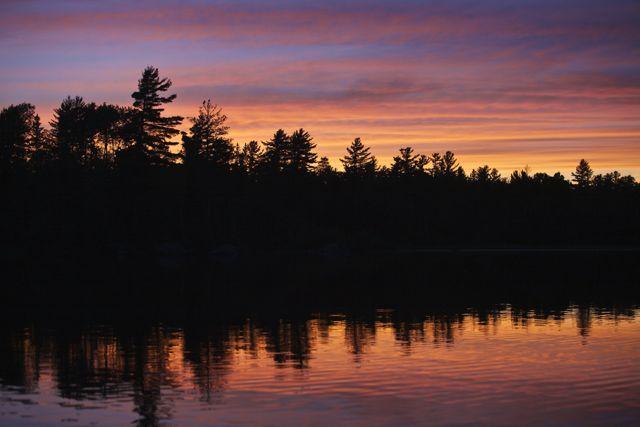 Book Excerpt: America's Great National Forests, Wildernesses, and ...
