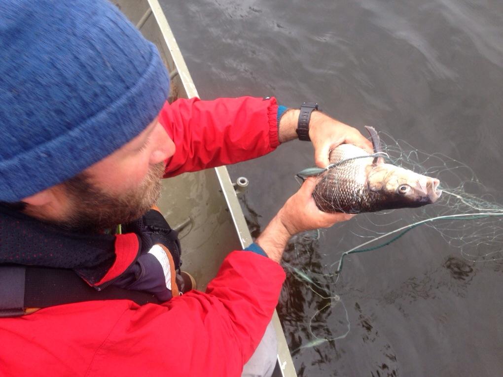 From the Freemans: Fun, Friends and Fish | Save the Boundary Waters