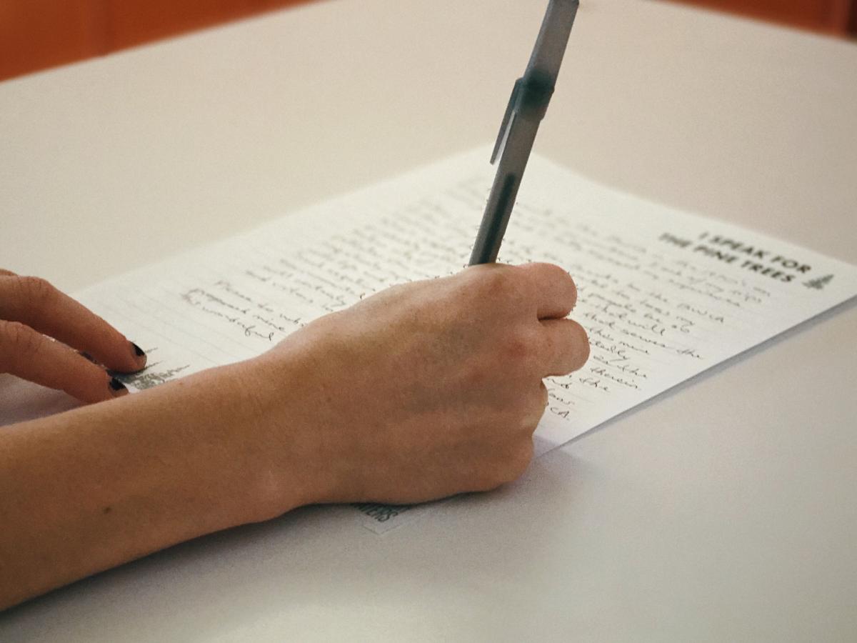 How to write a public comment! | Save the Boundary Waters